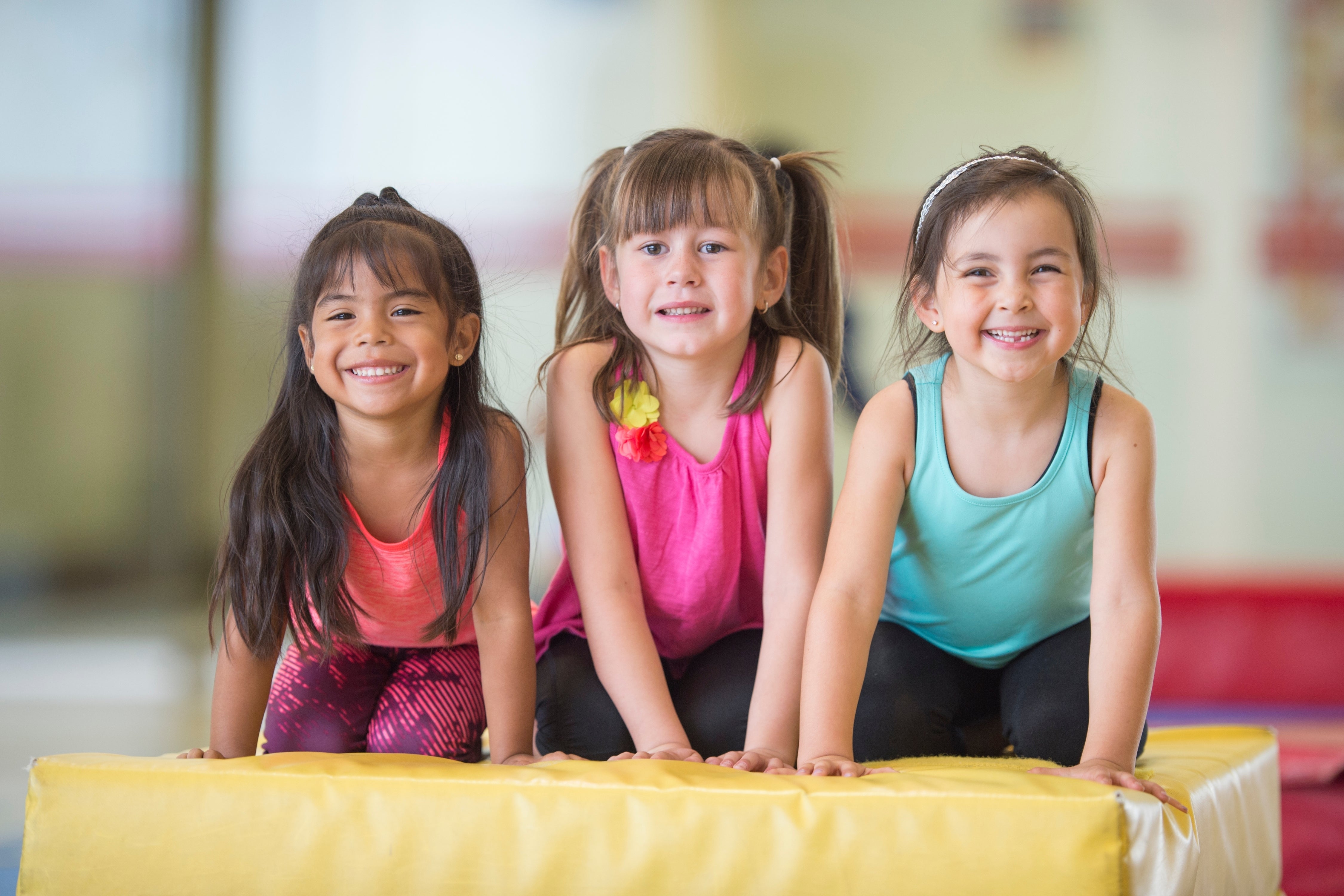 Gymnastics Equipment For Sale Australia | Parallel Bars For Sale